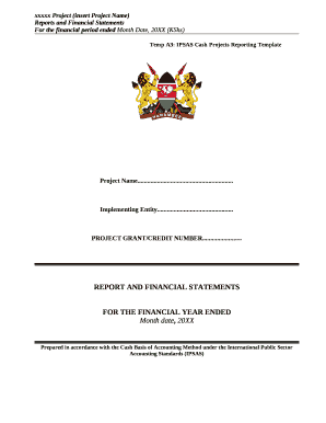 Temp A3: IPSAS Cash Projects Reporting Template Doc Template | pdfFiller