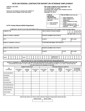 VETS-100 FEDERAL CONTRACTOR REPORT ON VETERANS' EMPLOYMENT Doc Template ...
