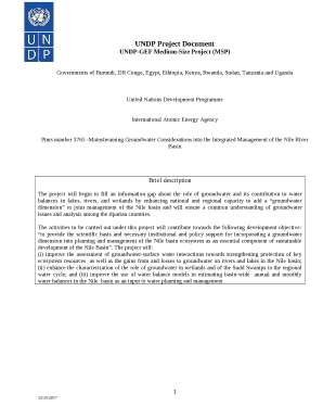 UN Personal History (P11) - UNDP - info undp Doc Template | pdfFiller