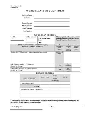 WORK PLAN & BUDGET Doc Template | pdfFiller