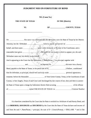JUDGMENT NISI ON FORFEITURE OF BOND Doc Template | pdfFiller