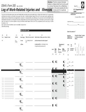 The OSHA 300 LOG OF INJURIES AND ILLNESSES: WHAT ... Doc Template ...