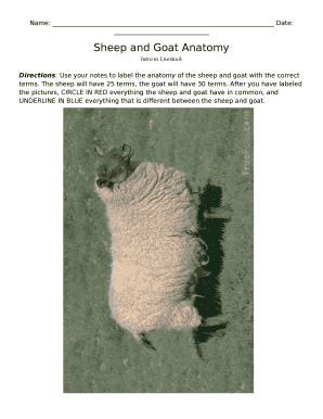 Sheep and Goat Anatomy Doc Template | pdfFiller