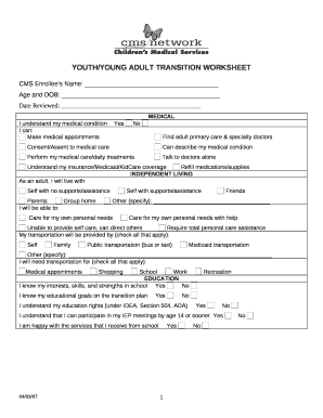 YOUTH/YOUNG ADULT TRANSITION WORKSHEET Doc Template | pdfFiller