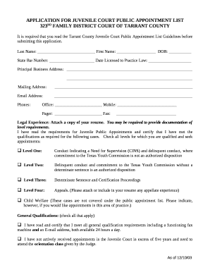 APPLICATION FOR JUVENILE COURT PUBLIC APPOINTMENT LIST - tidc tamu Doc Template | pdfFiller