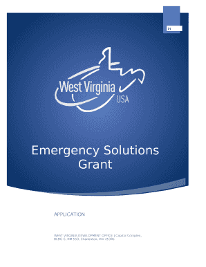 2017 Emergency Solutions Grant Application Doc Template | pdfFiller