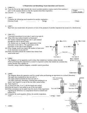 Respiration and Breathing: Exam Questions and Answers Doc Template ...