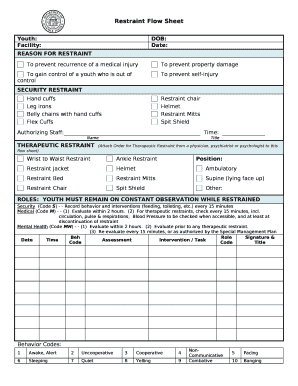Restraint Flow Sheet Doc Template | pdfFiller
