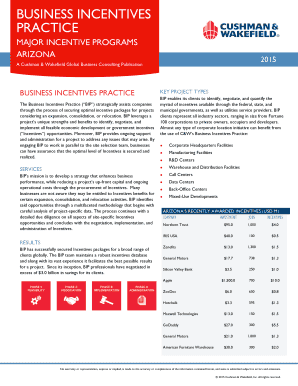 Fillable Online MAJOR INCENTIVE PROGRAMS Fax Email Print - pdfFiller