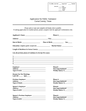 Application for Public Assistance Doc Template | pdfFiller