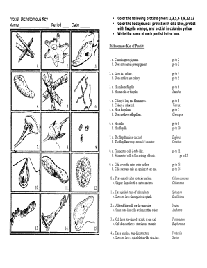 protist dichotomous key Doc Template | pdfFiller