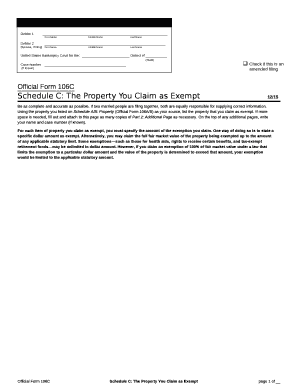 Official 106C Doc Template | pdfFiller