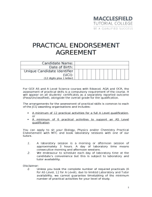 PRACTICAL ENDORSEMENT AGREEMENT Doc Template | pdfFiller