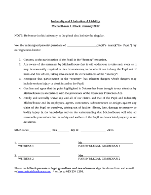 Indemnity and Limitation of Liability Doc Template | pdfFiller