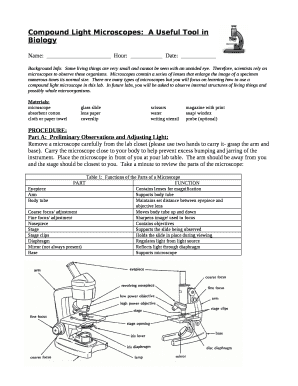Compound Light Microscopes:A Useful Tool in Biology Doc Template ...