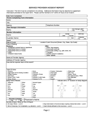 SERVICE PROVIDER INCIDENT REPORT Doc Template | pdfFiller