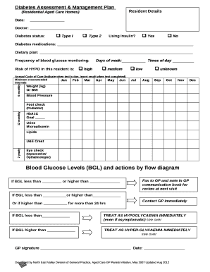 Diabetes Assessment & Management Plan Doc Template | pdfFiller