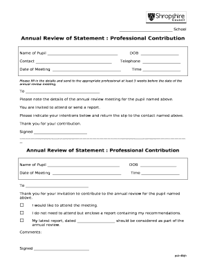 Annual Review of Statement : Professional Contribution Doc Template ...