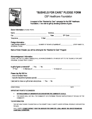 Fillable Online sharylandisd GUARDIANSHIP FORM - sharylandisd Fax Email ...