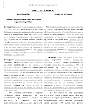 ANEXO VI / ANNEX VI Doc Template | pdfFiller