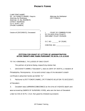 PETITION FOR GRANT OF LETTERS OF ADMINISTRATION Doc Template | pdfFiller