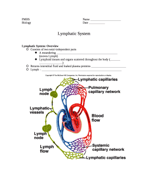 Lymphatic System Doc Template | pdfFiller