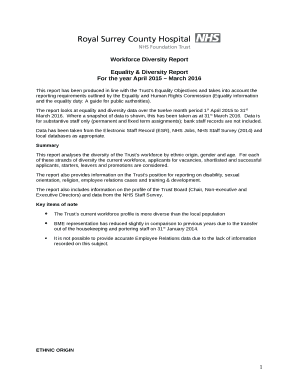 Equality & Diversity Report Doc Template | pdfFiller