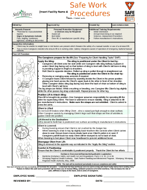 Insert Facility Name & Logo Client Handling Program Doc Template ...