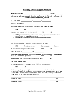 Custody & Child Support Affidavit Doc Template | pdfFiller