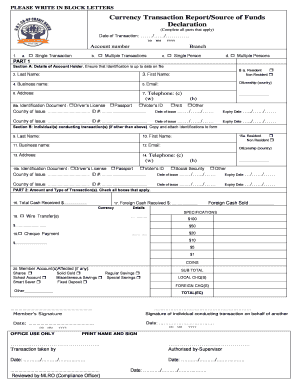 Fillable Online Currency Transaction Report/Source of Funds Fax Email Print - pdfFiller