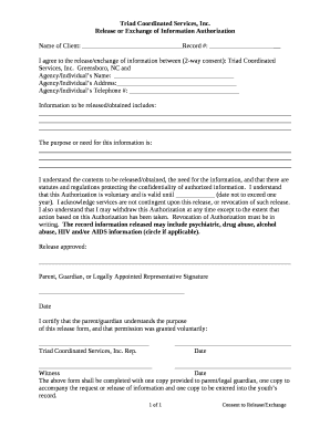 Name of Client: Record #: Doc Template | pdfFiller