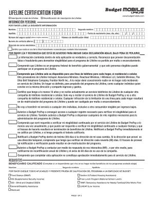 Fillable Online Inscripcin inicial de Lifeline Fax Email Print - pdfFiller