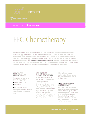 Fillable Online www2 rcscsd A BASIC INTRODUCTION TO THE JFK ...