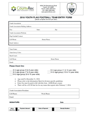 Fillable Online 2018 YOUTH FLAG FOOTBALL TEAM ENTRY FORM Fax Email ...
