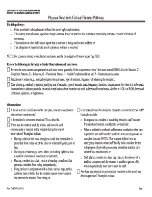 Fillable Online Physical Restraints Critical Element Pathway Fax Email ...