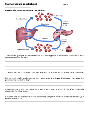 Homeostasis WorksheetName: Doc Template | pdfFiller