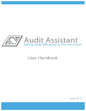 Fillable Online Audit Assistant Fax Email Print - pdfFiller