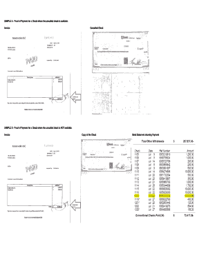 Fillable Online SAMPLE A - Proof of Payment for a Check where the ...