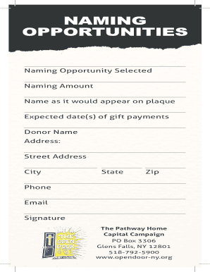 Fillable Online Naming Opportunity Selected Fax Email Print - pdfFiller