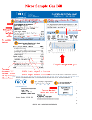 Fillable Online Nicor Sample Gas Bill Fax Email Print - pdfFiller
