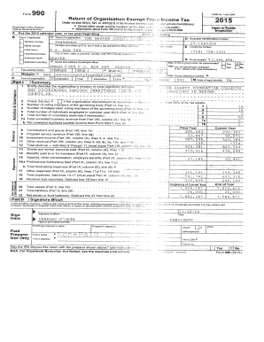 Salience Inventory Assessment - Fill Online, Printable, Fillable, Blank ...