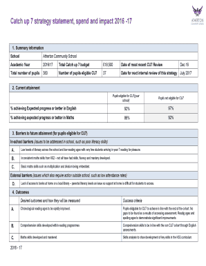 Fillable Online Catch up 7 strategy statement, spend and impact 2016 ...
