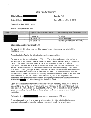 Fillable Online Child Fatality Summary Fax Email Print - pdfFiller