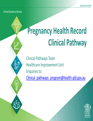 Fillable Online Pregnancy Health Record Fax Email Print - pdfFiller