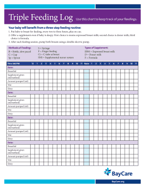 Fillable Online Triple Feeding Log Fax Email Print - pdfFiller