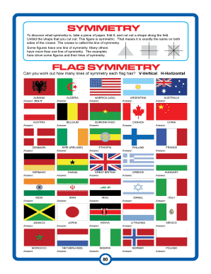 Fillable Online FLAG SYMMETRY Fax Email Print - pdfFiller
