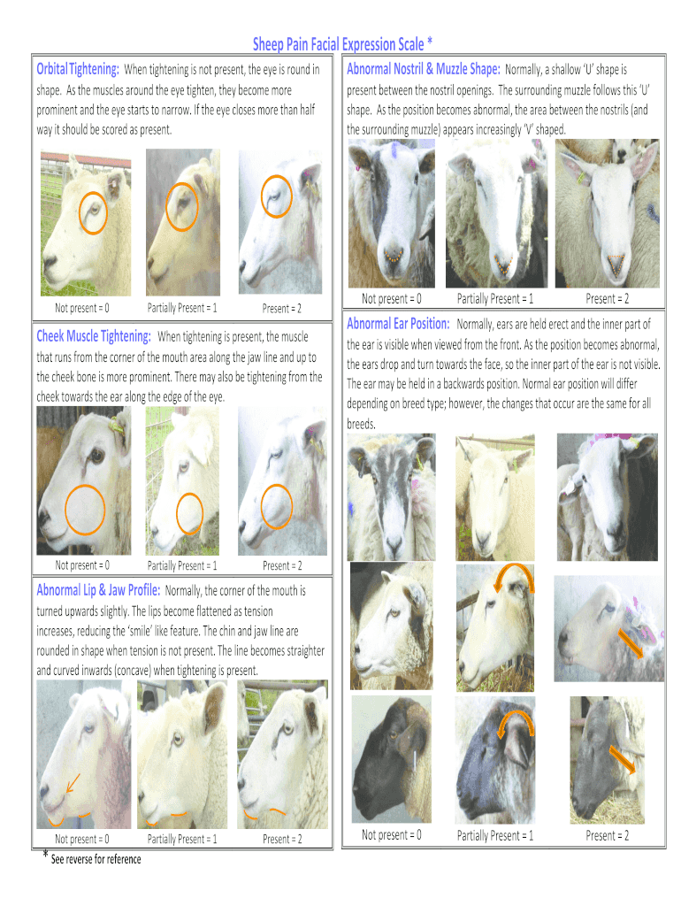 Fillable Online Sheep Pain Facial Expression Scale * Fax Email Print ...