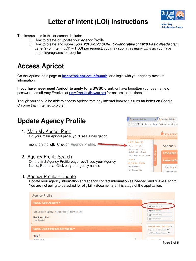 Fillable Online Letter of Intent (LOI) Instructions Fax Email Print ...