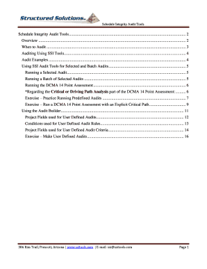 Fillable Online Schedule Integrity Audit Tools Fax Email Print - pdfFiller