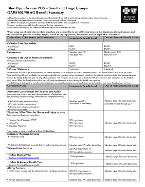 Fillable Online Blue Open Access POS Small and Large Groups Fax Email ...